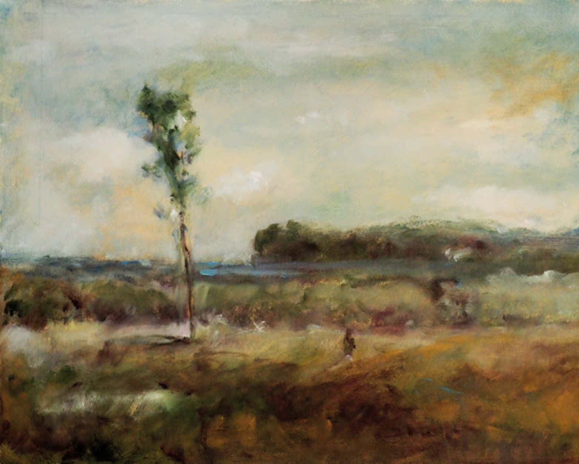 Home page – Shari White StudioS